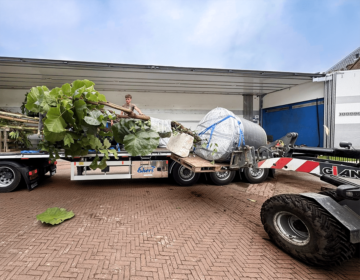 Big trees, tight streets, perfect temperature — Dobbe Transport’s ...